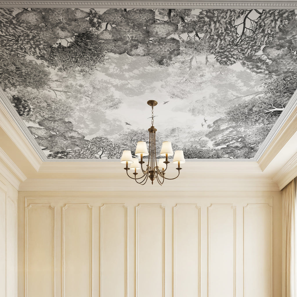 Shadow Nest Ceiling Wallpaper Mural | Life n Colors
