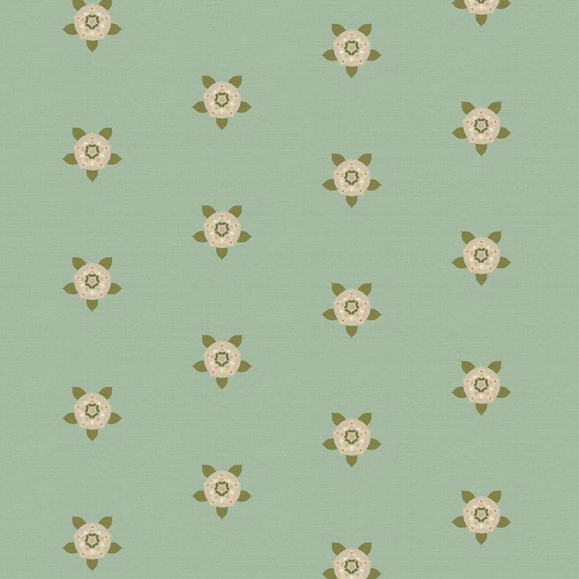 Classy Pista Green Colors Wallpaper for Rooms, Customised | lifencolors ...