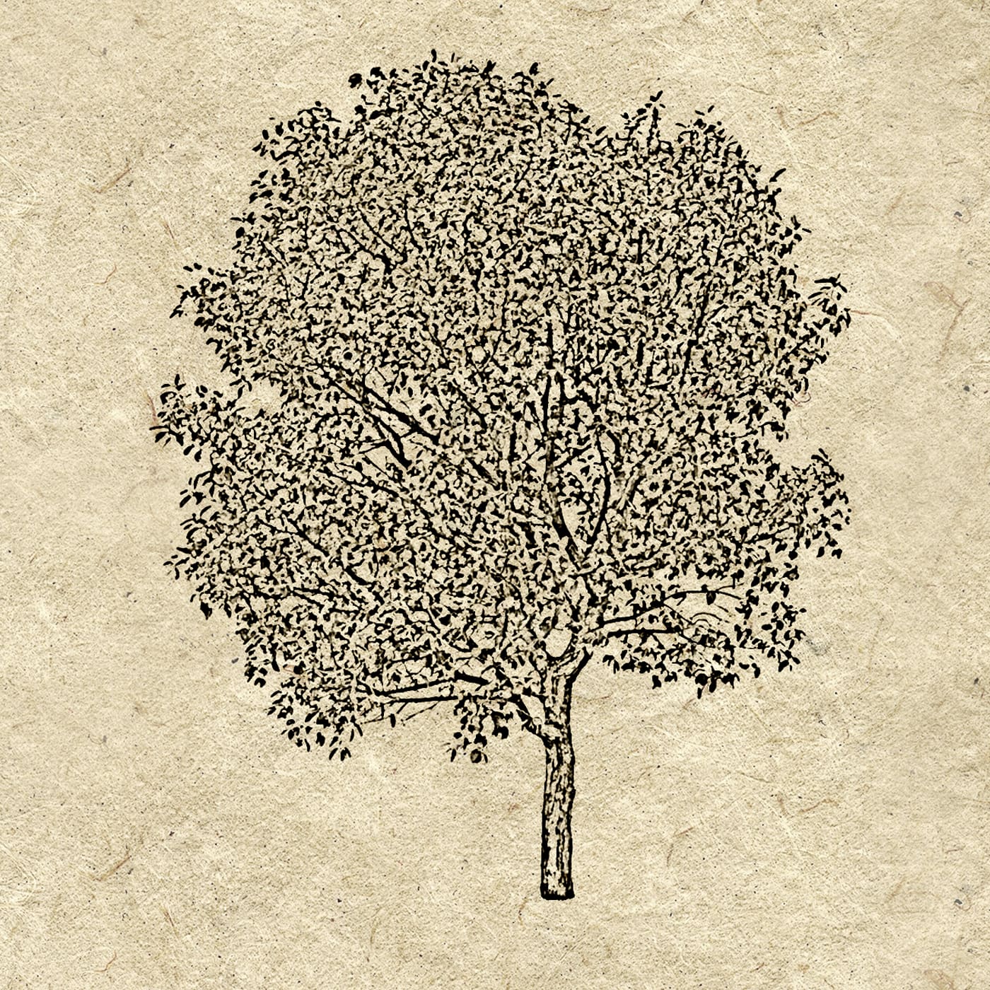 Tree Motif Repeat Pattern Wallpaper | lifencolors – Life n Colors