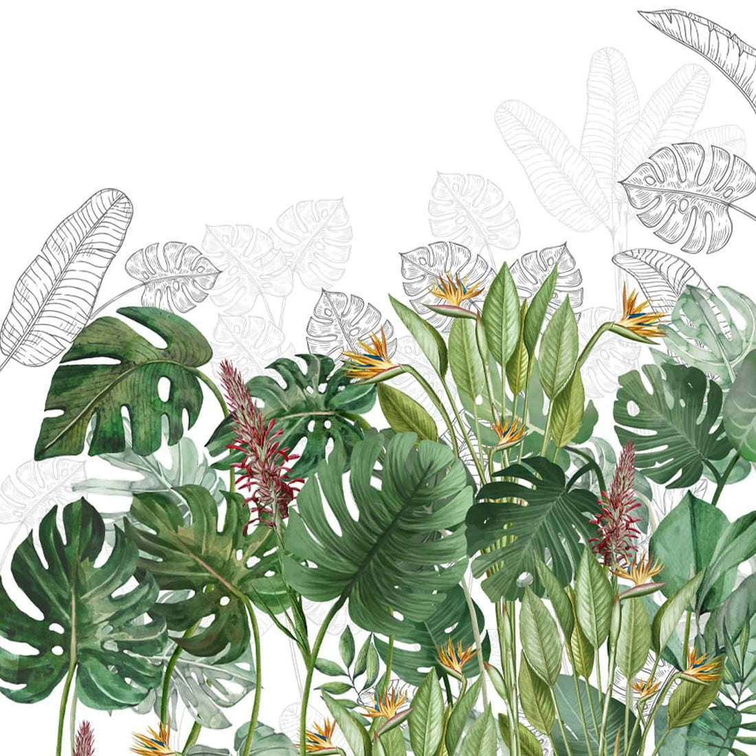 Charm, Nature Theme Based Tropical Wallpaper | Life n Colors