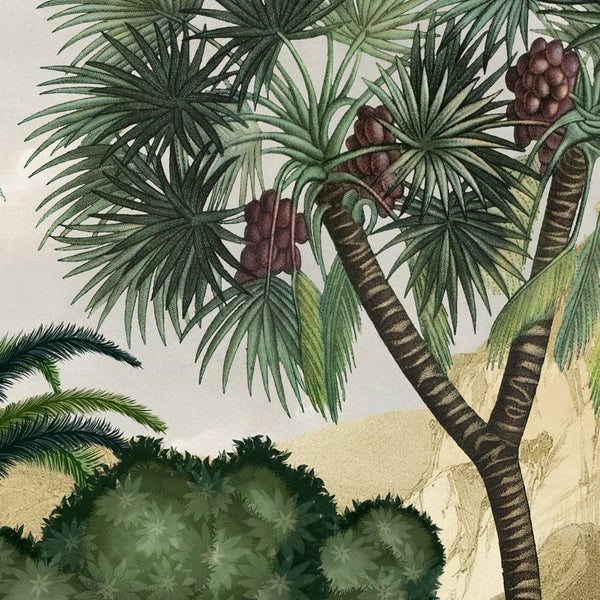 Forest Theme Wallpaper for Rooms, Customised | Life n Colors