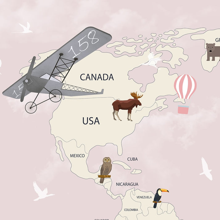 Pink World Map Wallpaper for Girls Bedroom, Personalised | Life n Colors